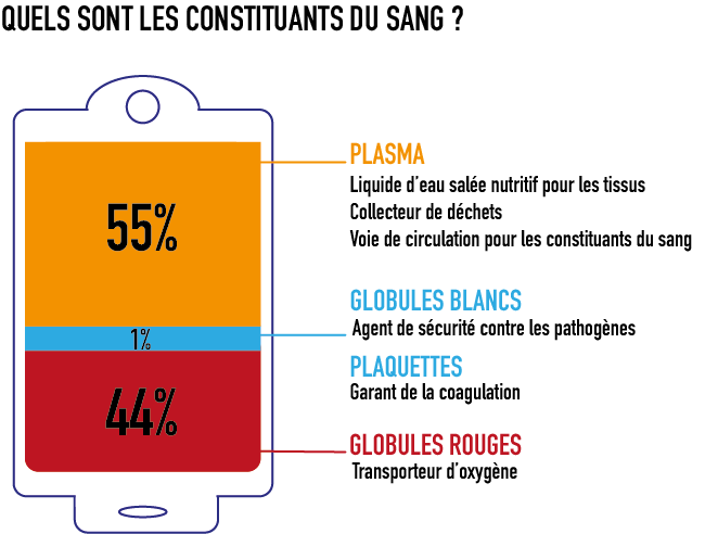 A quoi le sang sert-il lors de transfusions et pour la recherche