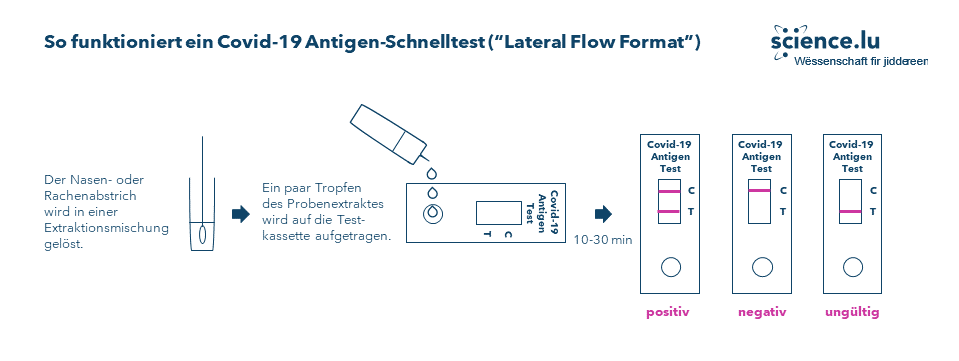 Welche Covid-19 Schnelltests gibt es und wie funktionieren sie?