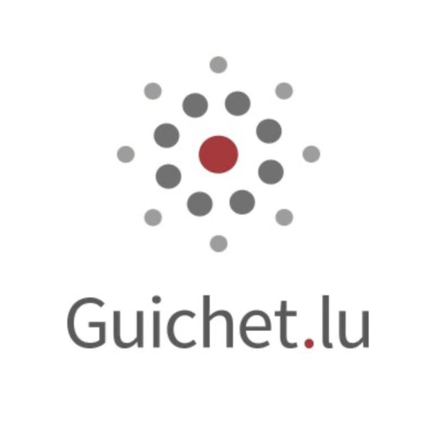 Guichet.lu/myGuichet.lu – Kurs