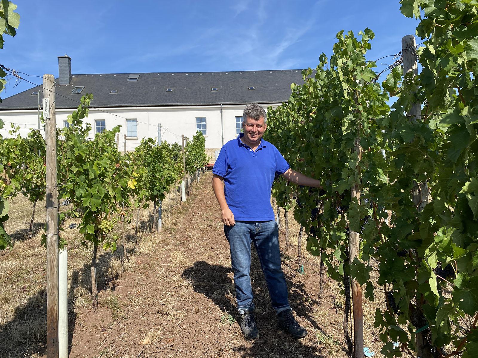 Wie der Weinbau in Luxemburg sich dem Klimawandel anpasst
