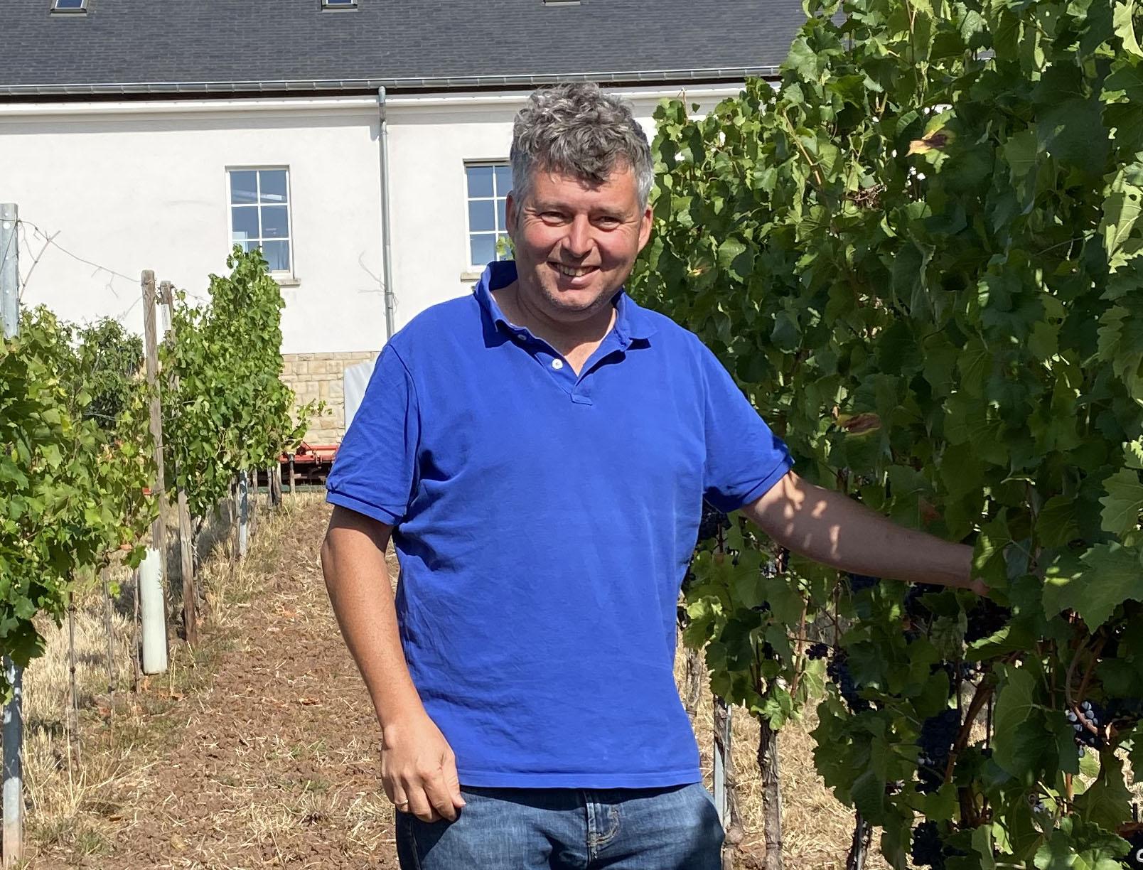 Wie der Weinbau in Luxemburg sich dem Klimawandel anpasst