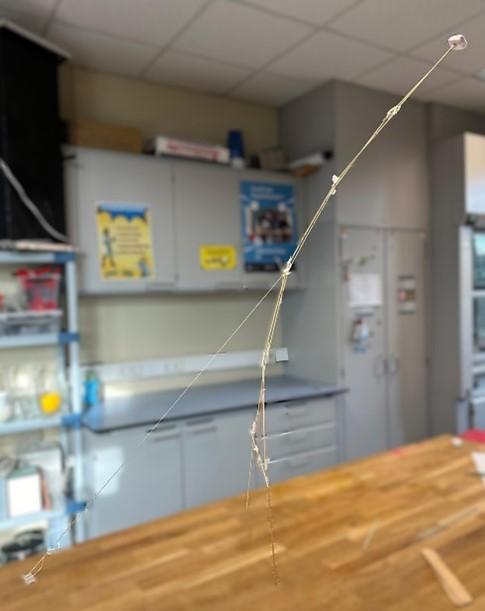 Baue den höchsten Marshmallow Spaghetti Turm!