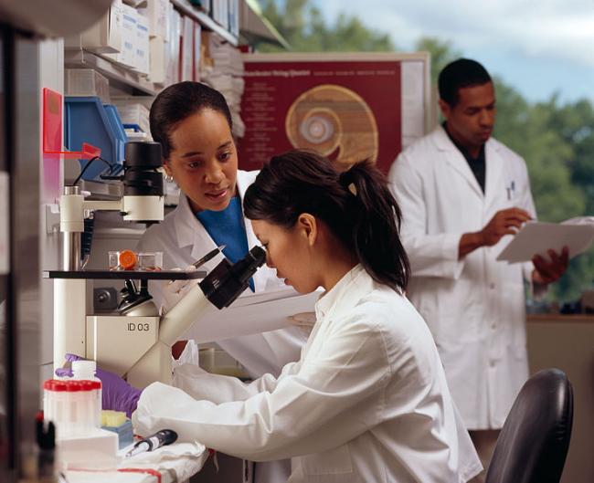 Le métier de Chercheur en biologie