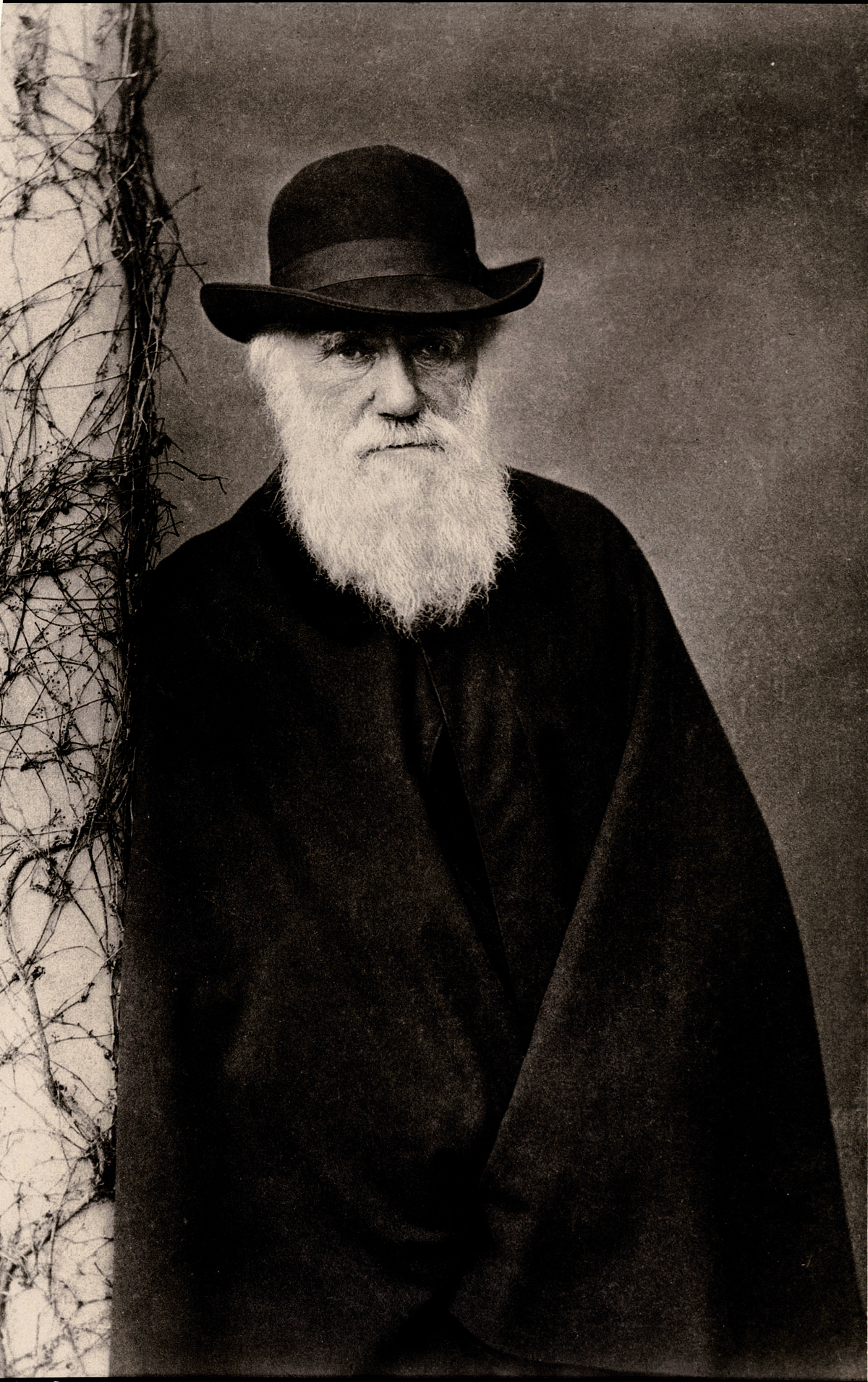 Darwin und seine Theorie der natürlichen Selektion Darwin und seine Theorie der natürlichen Selektion